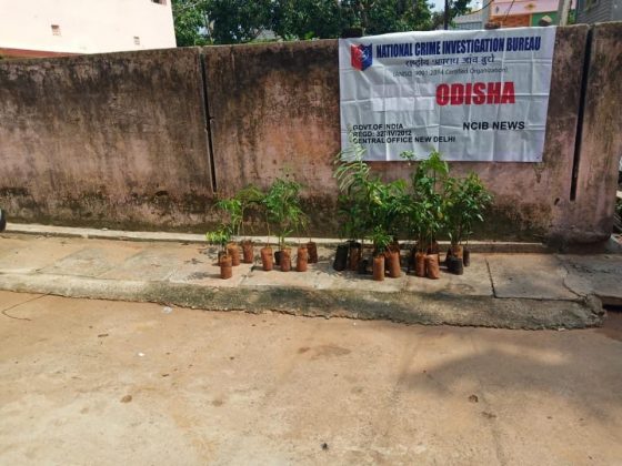 एनसीआईबी ओड़िसा इकाई द्वारा “वृक्ष लगाओ जीवन बचाओ” अभियान की हुईं शुरुआत। – NCIB Activities