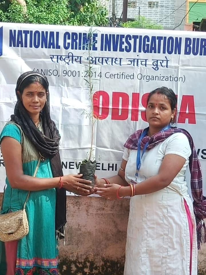 एनसीआईबी ओड़िसा इकाई द्वारा “वृक्ष लगाओ जीवन बचाओ” अभियान की हुईं शुरुआत। – NCIB Activities